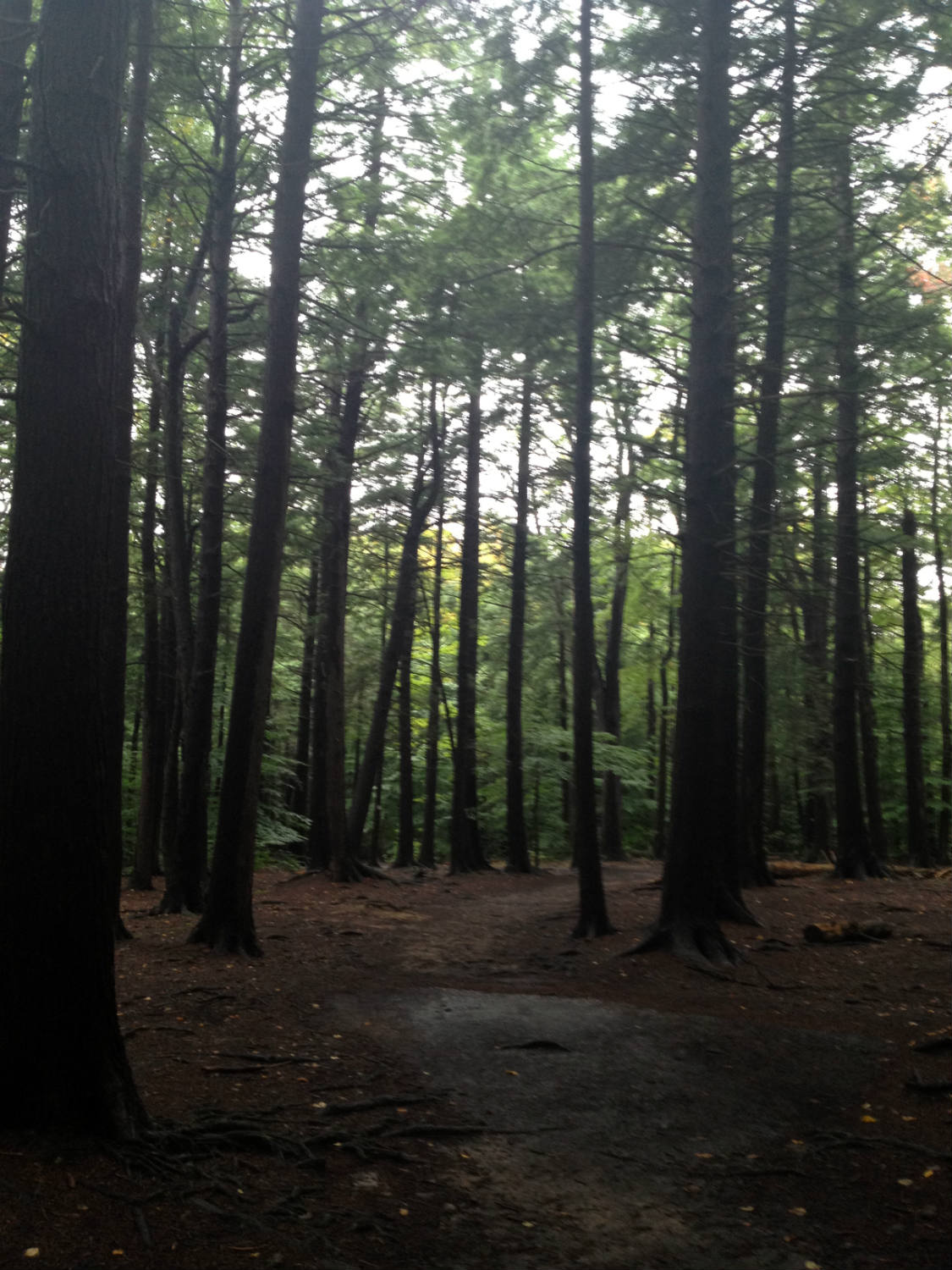 Eternal Flame Falls in Chestnut Ridge Park - Buffalo, NY - Exploring ...