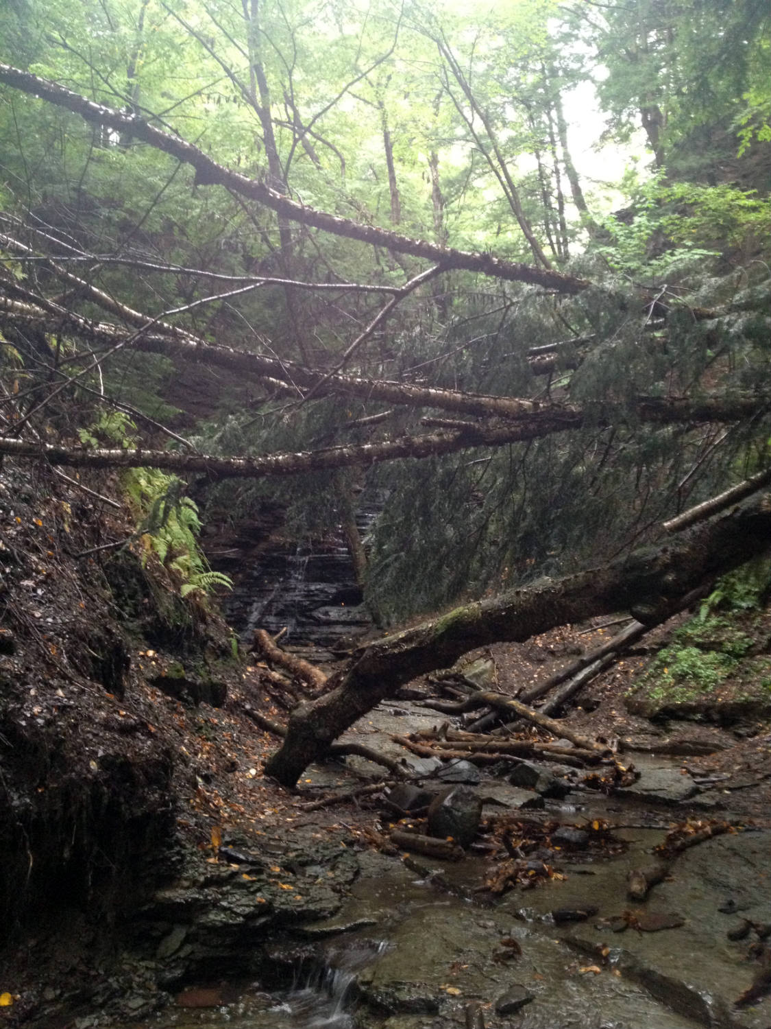 Eternal Flame Falls in Chestnut Ridge Park - Buffalo, NY - Exploring ...