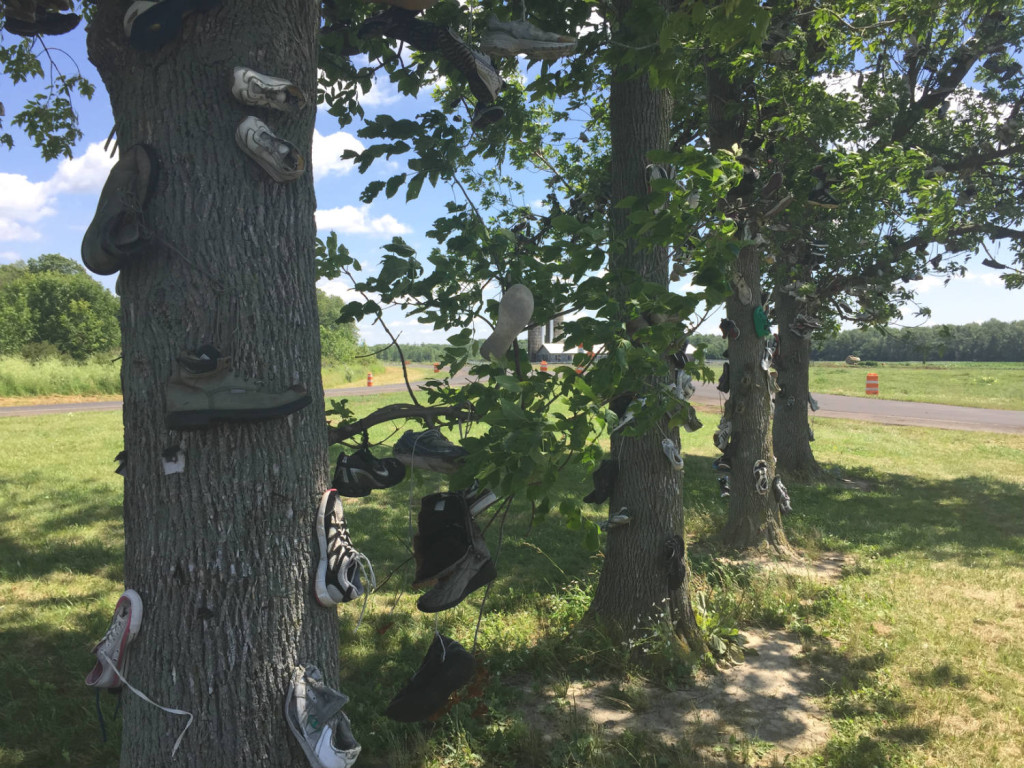 The Shoe Trees of Lyndonville, NY - Exploring Upstate