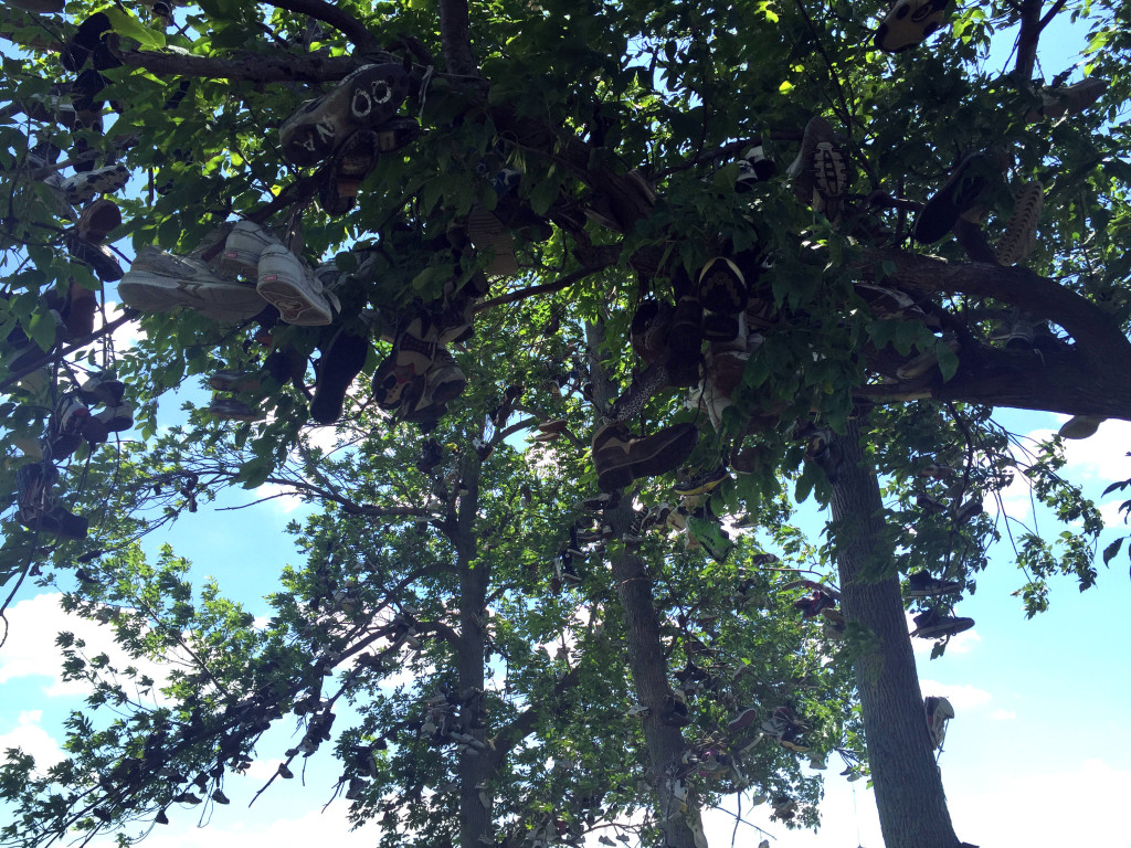 The Shoe Trees of Lyndonville, NY - Exploring Upstate