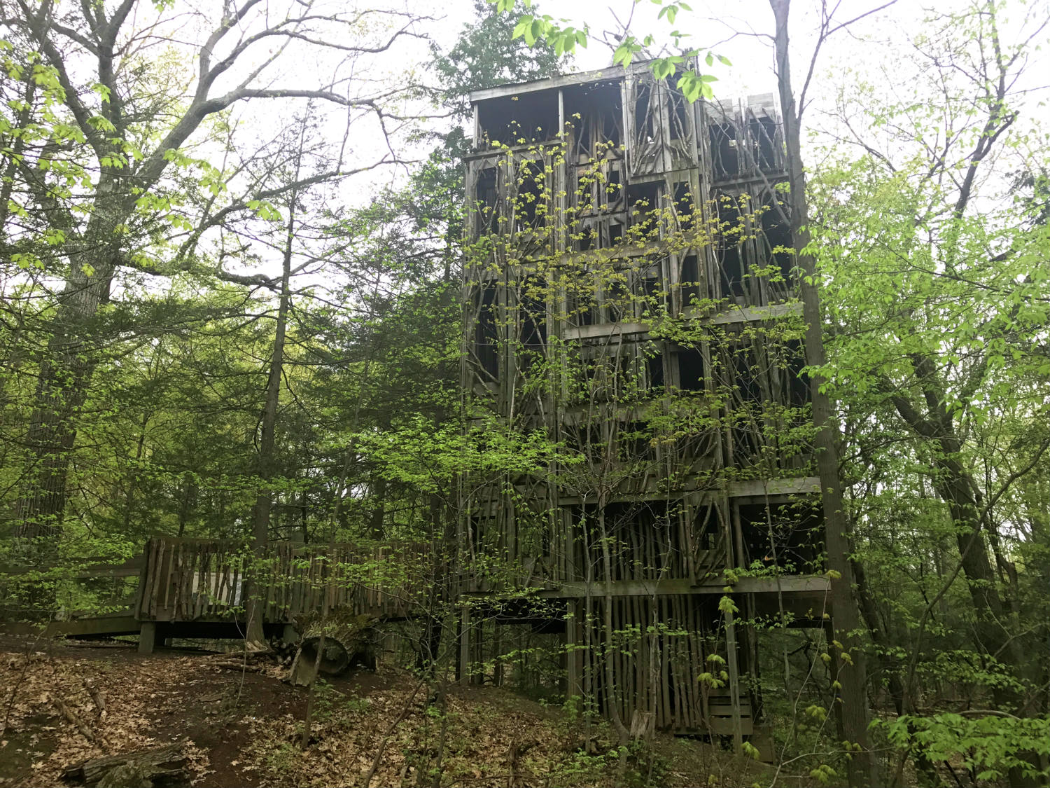 Climbing a Six-Story Treehouse in Ithaca - Exploring Upstate