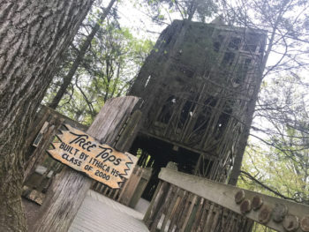 Climbing a Six-Story Treehouse in Ithaca - Exploring Upstate