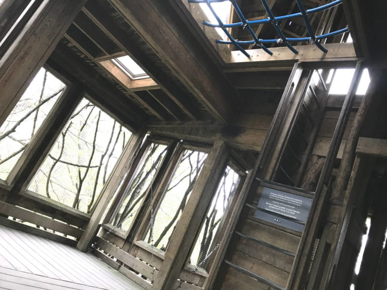 Climbing a Six-Story Treehouse in Ithaca - Exploring Upstate