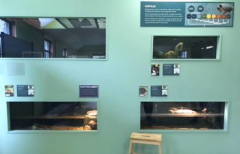 Climbing a Six-Story Treehouse in Ithaca - Exploring Upstate