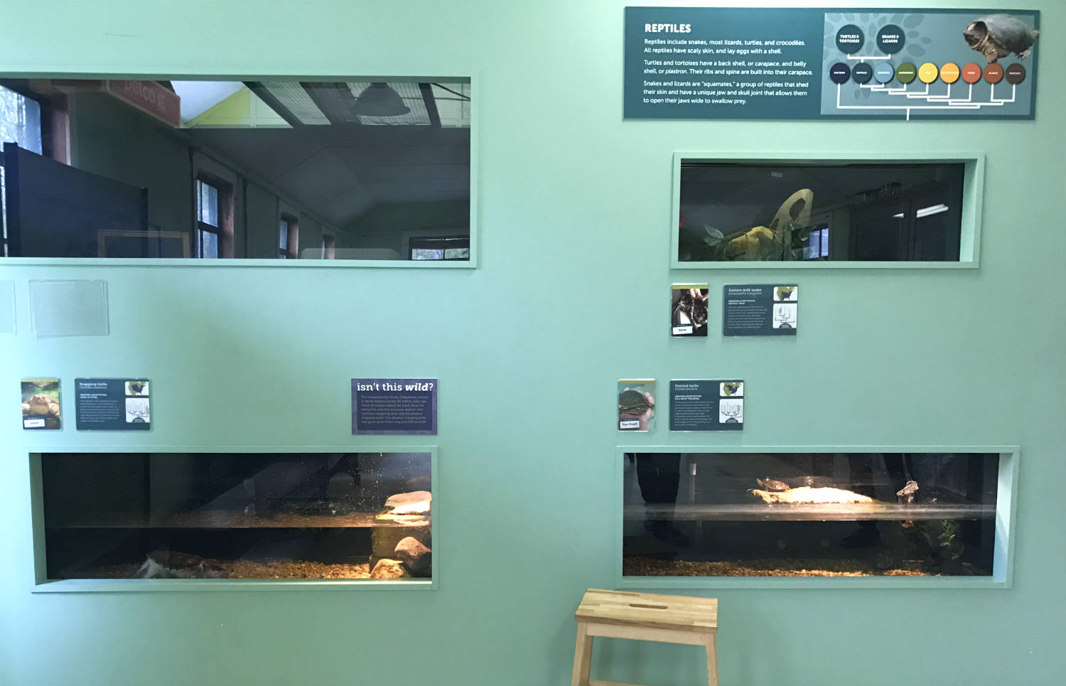 Climbing a Six-Story Treehouse in Ithaca - Exploring Upstate